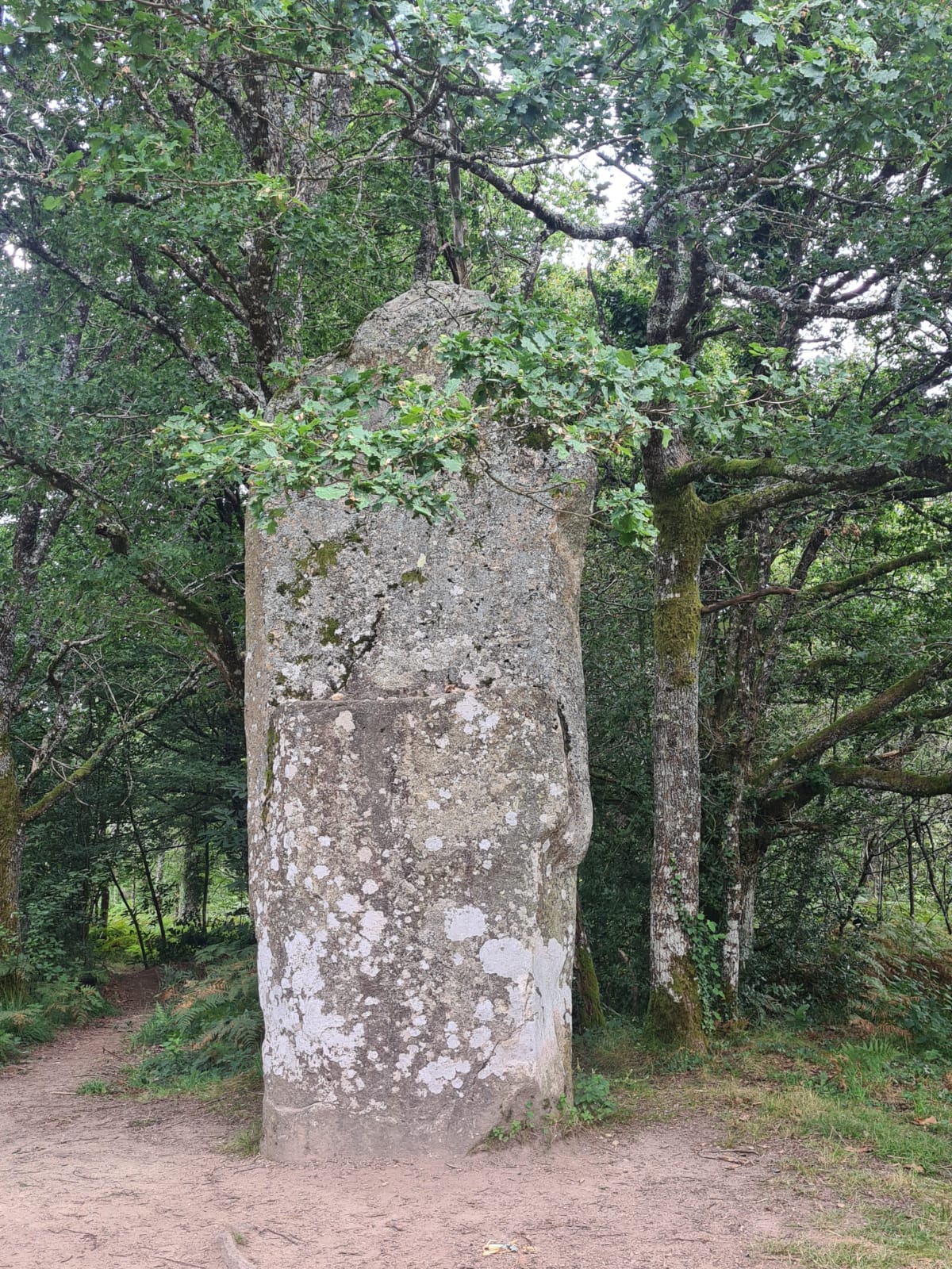 Les Branches - Kredenn Geltiek